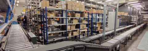 Il gruppo - Riccobono